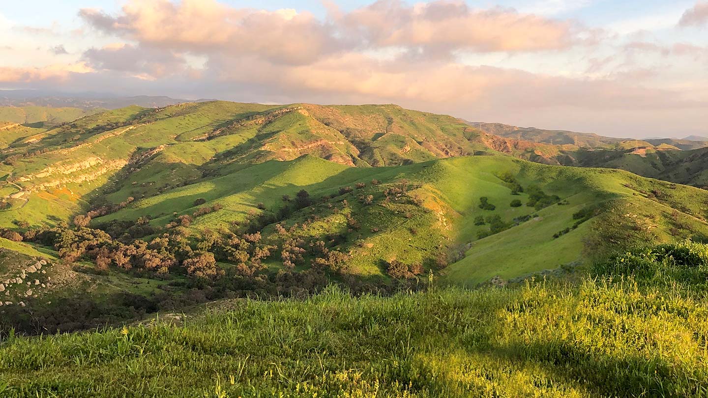 Irvine Company Community Connection