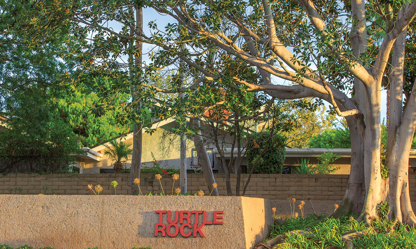 Hidden in plain sight: Subtleties of the Master Plan - Irvine Community ...
